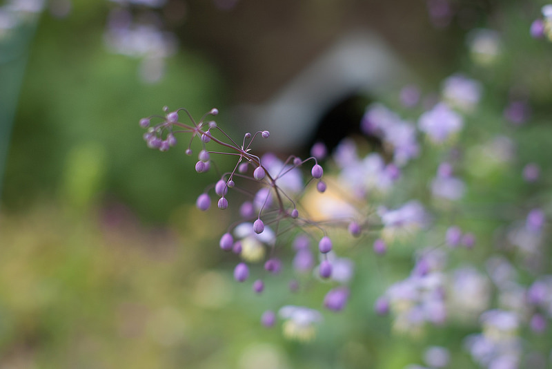 The Necessity Of Narrow Focus – 35hunter