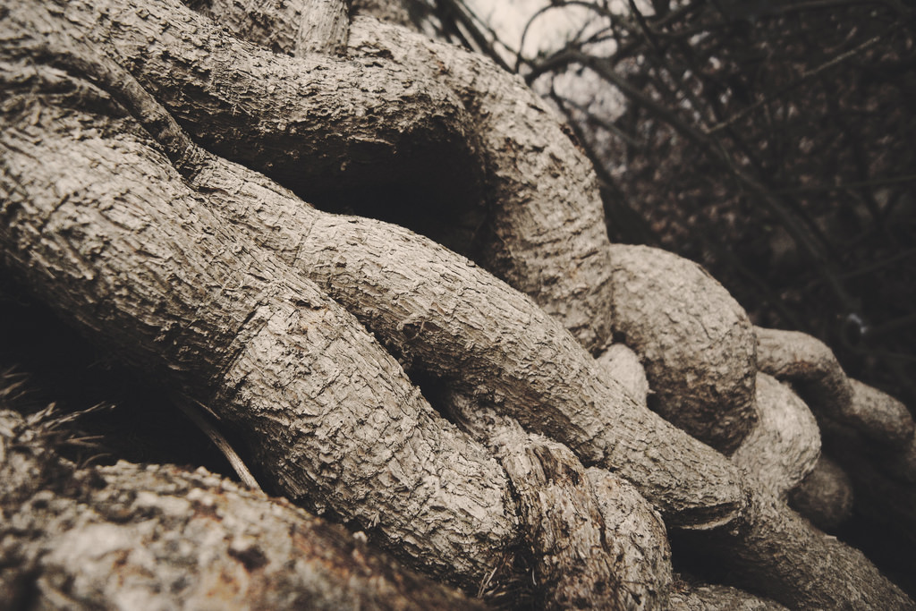 Expectation Is Everything (5 Killer Questions To Shake Up Your ...