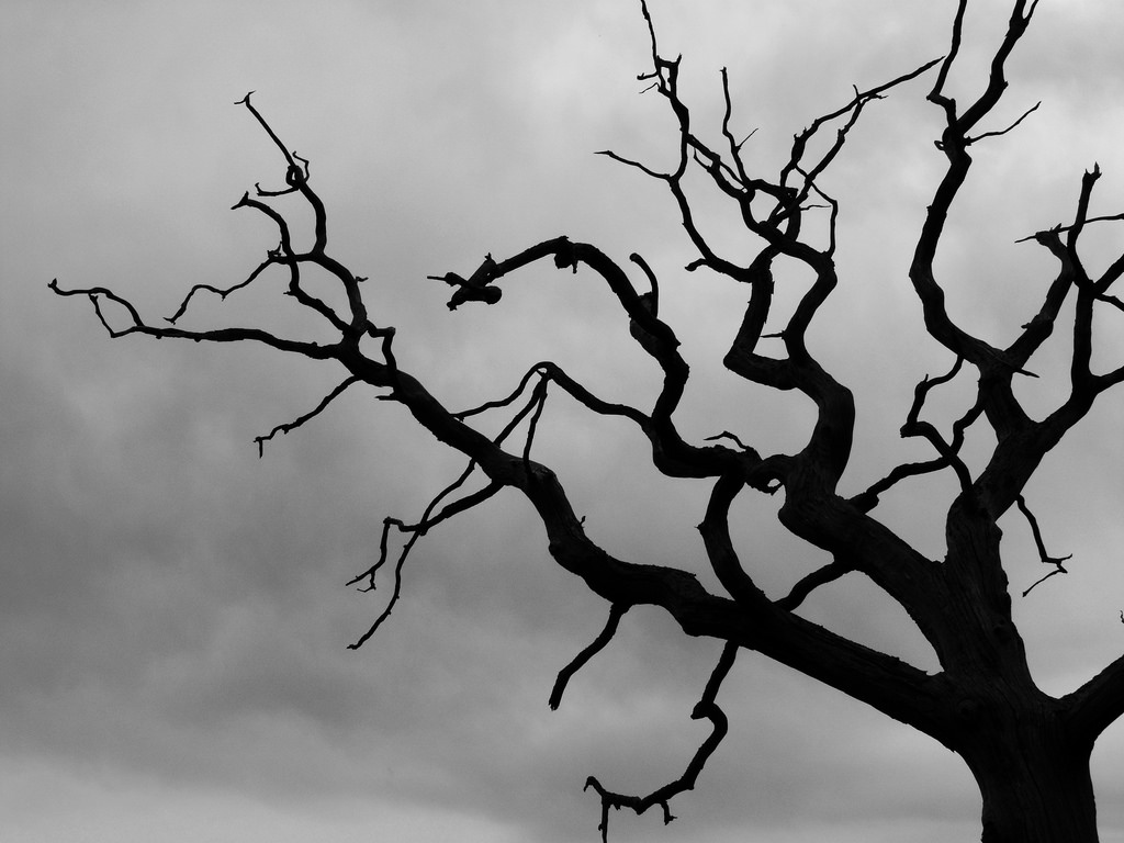 The Week Streak – An Experiment – 35hunter