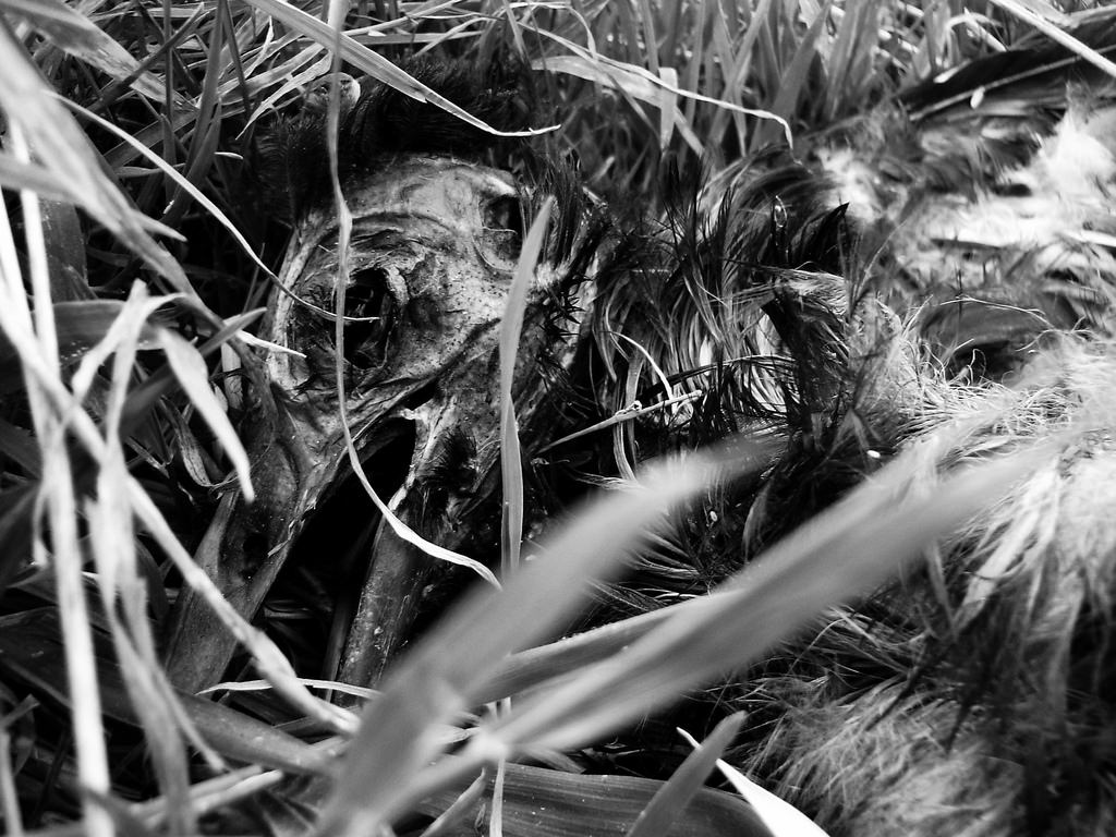 Photographs For No-One – 35hunter