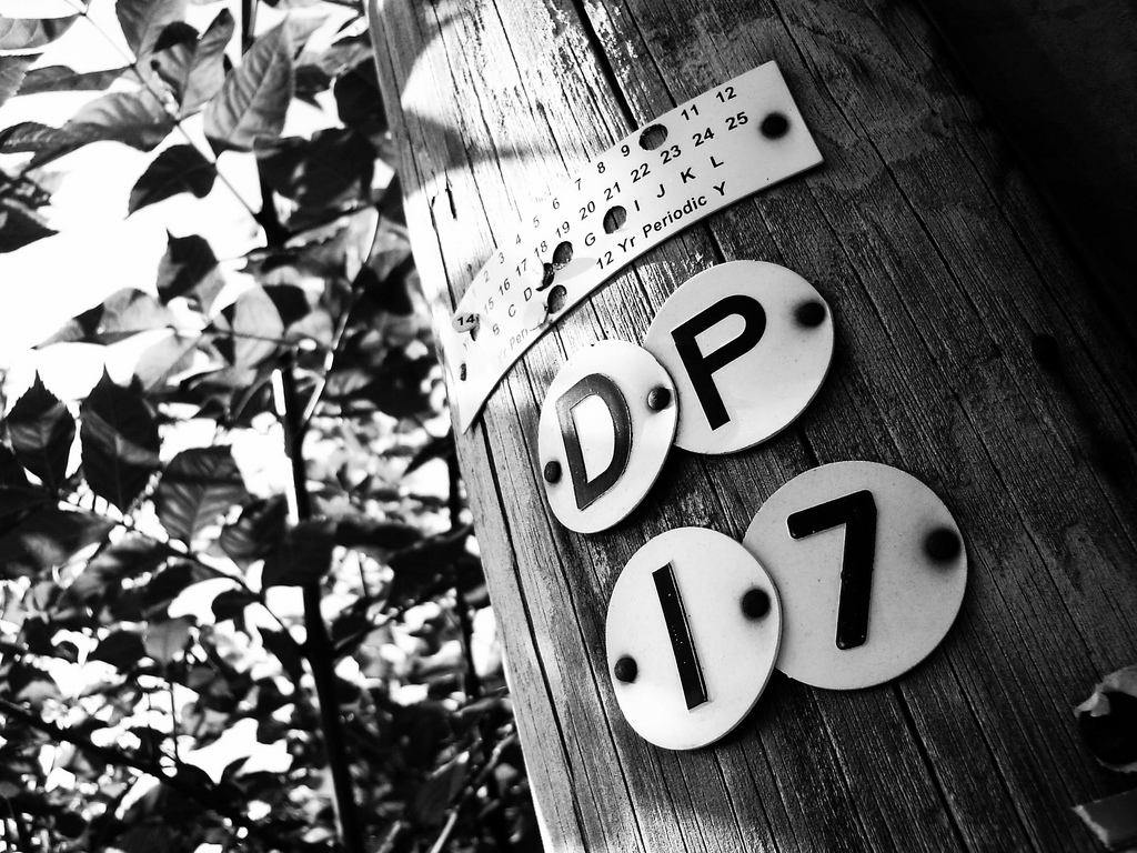 How To Avoid The Perils Of Pixel Peeping – 35hunter