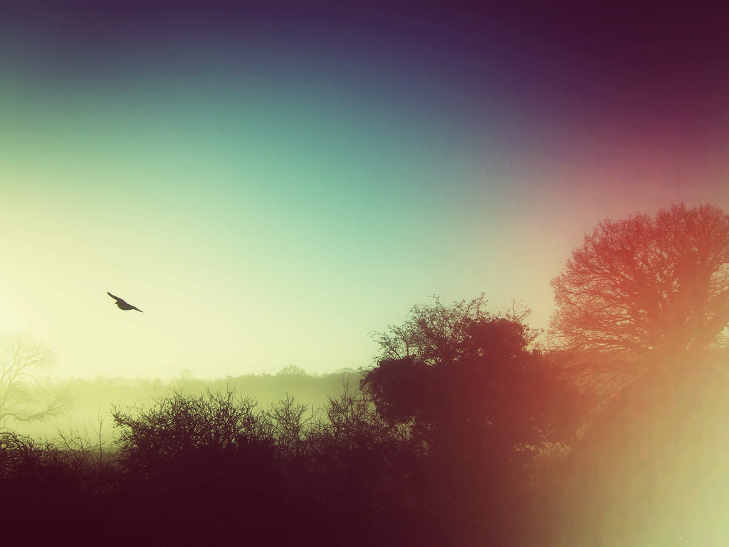 Random Revisited #2 – Defining A New Normal In Photography – 35hunter