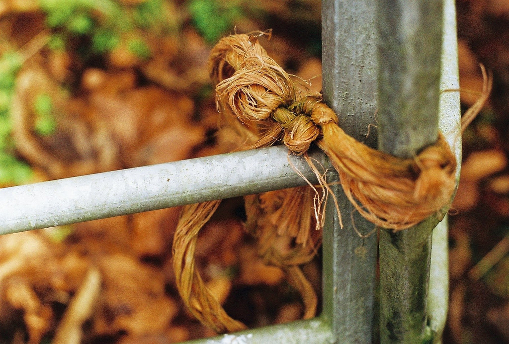 The Five Best Ways To Start Tagging Your Photos Today – 35hunter