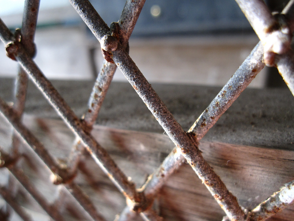 How To Get Up Close And Intimate (Part I) – Close Focusing Lenses ...