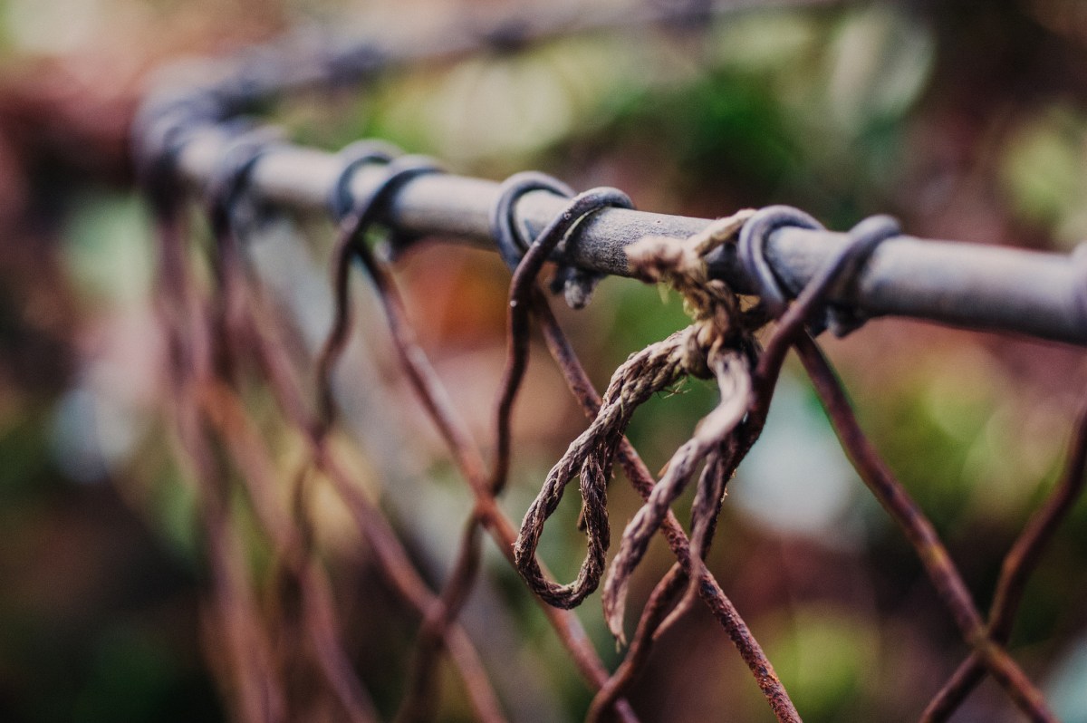 How To Get Up Close And Intimate (Part IV) – Dedicated Macro Lenses ...