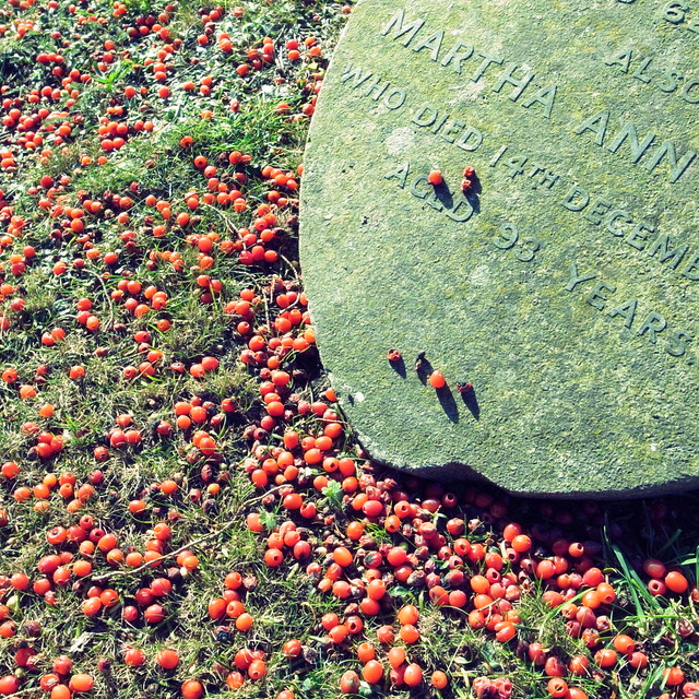 Shooting Squares – Rejoicing In The Restrictions Of 1:1 Photography ...