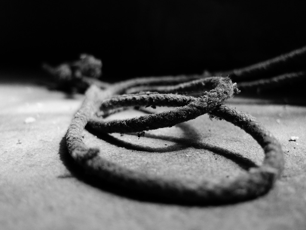 Photographic Freedom And Letting Go Of The Three Ps – Professional ...