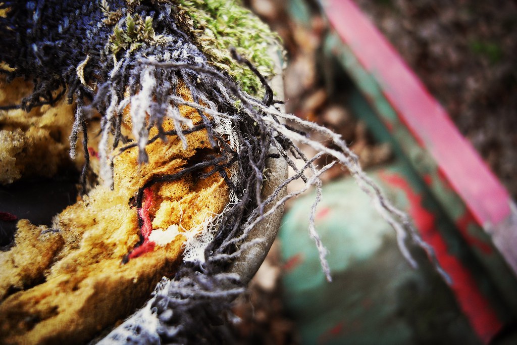 The Glorious Golden Age Of The Digital Camera – 35hunter