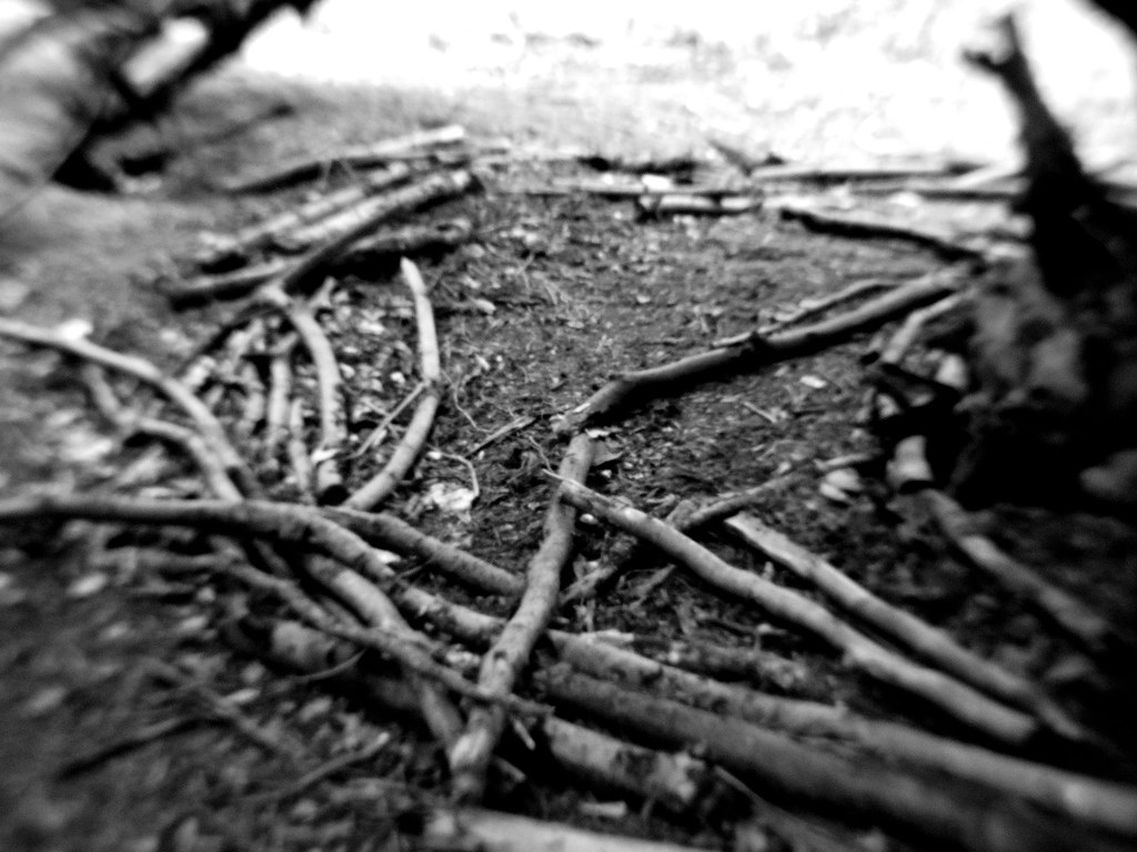 The Delights Of Disappearing Down Rabbit Holes – 35hunter